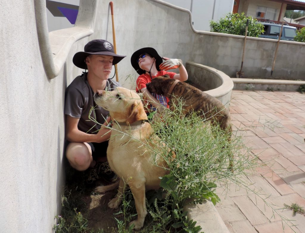 It’s a Spring Thing – Carrie Talbott